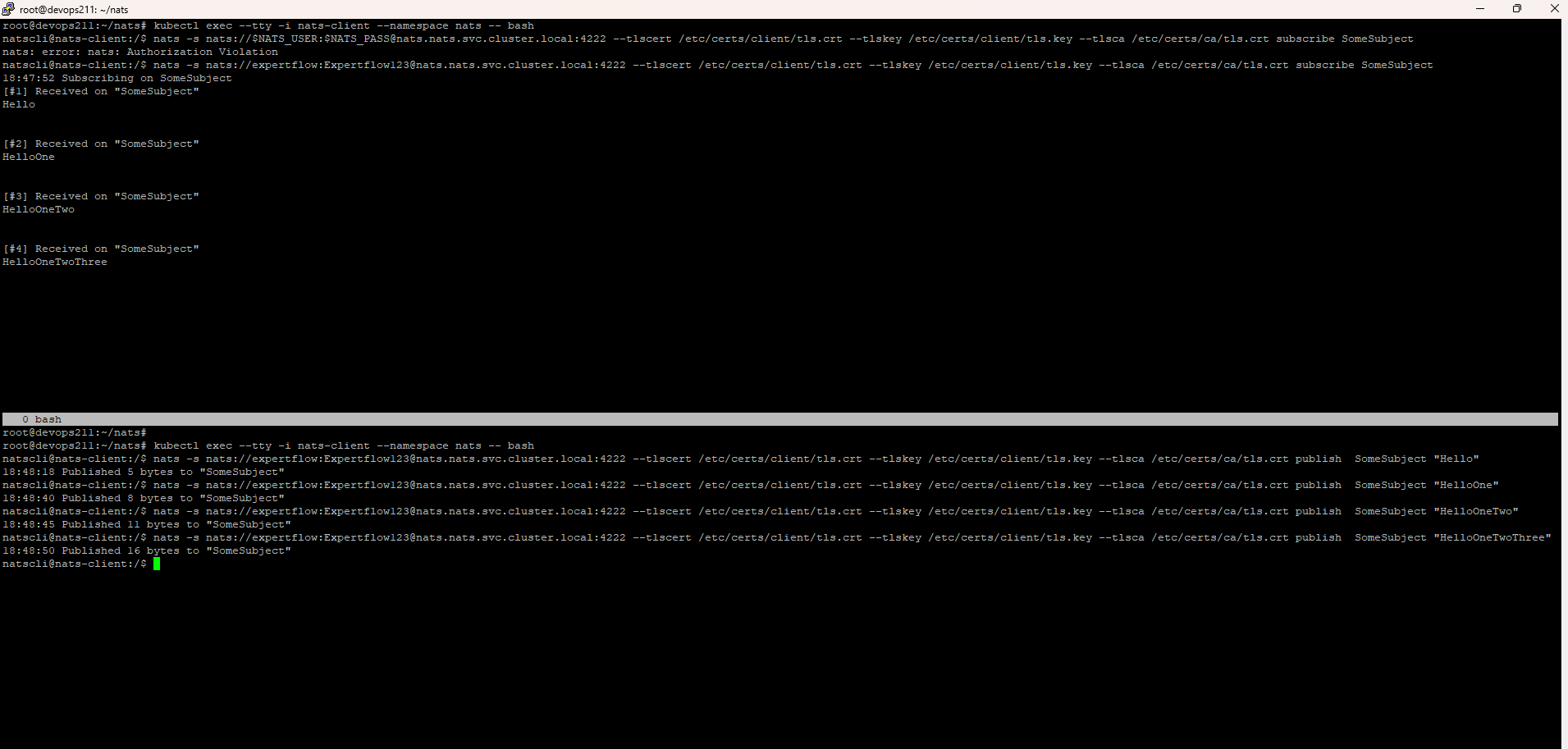 nats deployment guide for CX on cloud